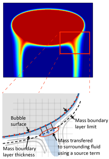Multiscale Simulation of Mass Transfer in Bubbly Flow